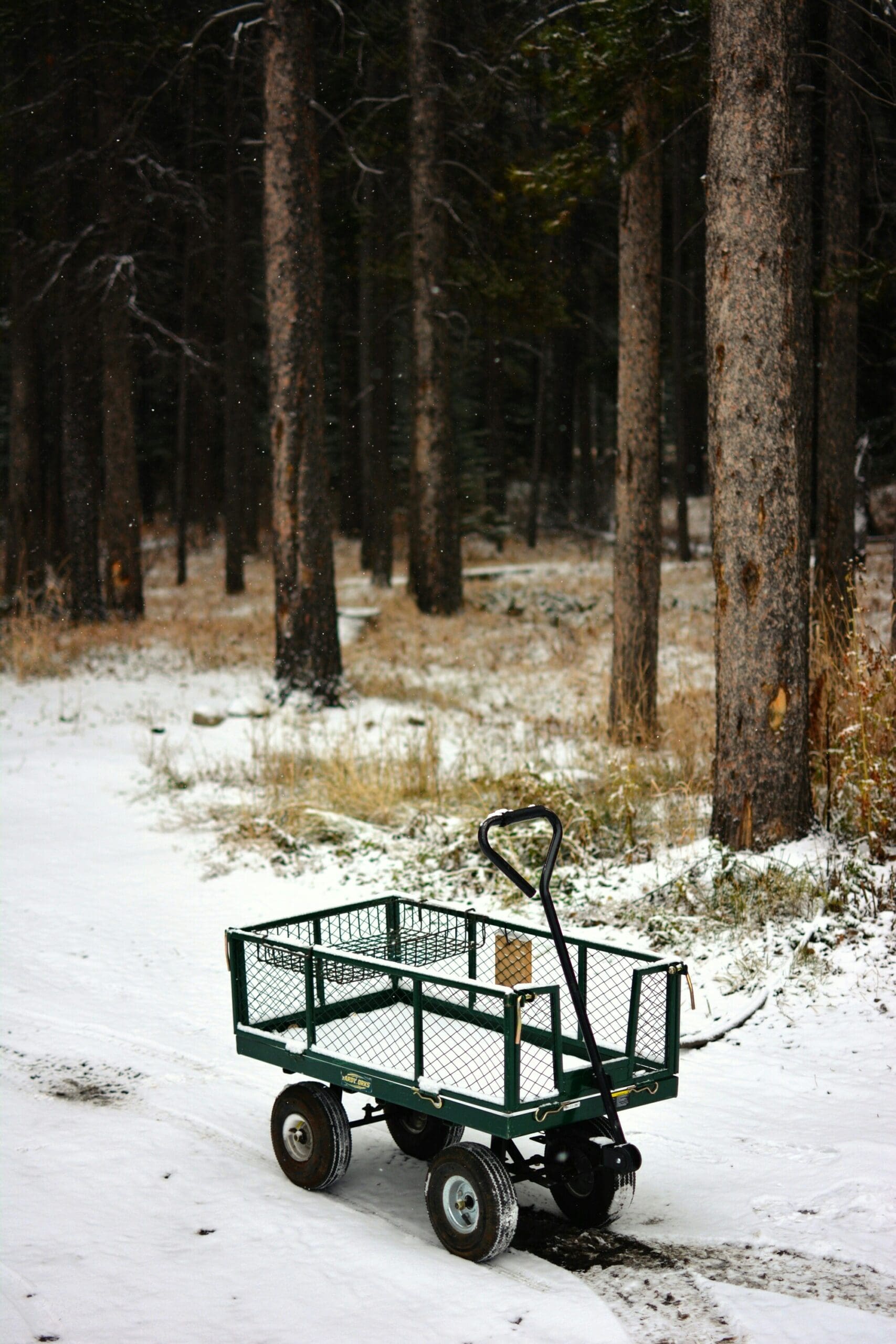 Recover Lost Sales with Effective Cart Abandonment Emails - Flexicodes