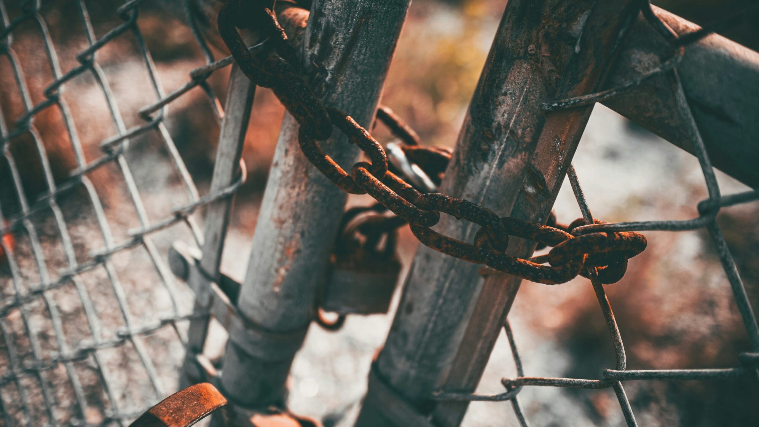 Locked Out Of Wordpress Here S How To Bypass The Login Screen Flexicodes
